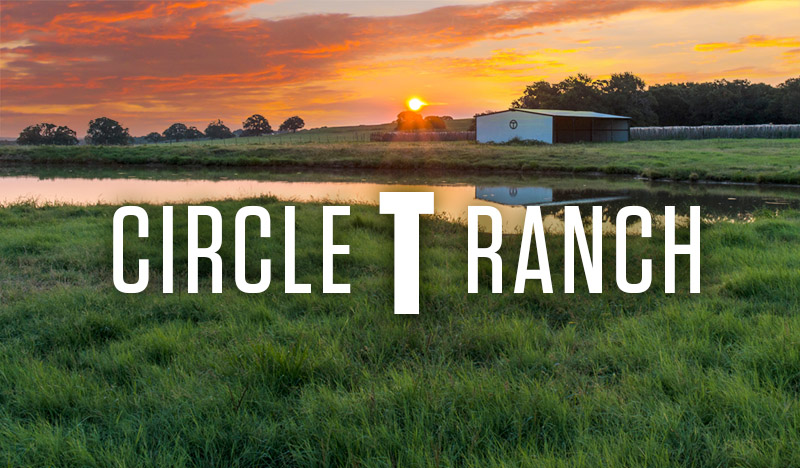 A (Corporate) Home on the Range – Dallas-Fort Worth Real Estate Review